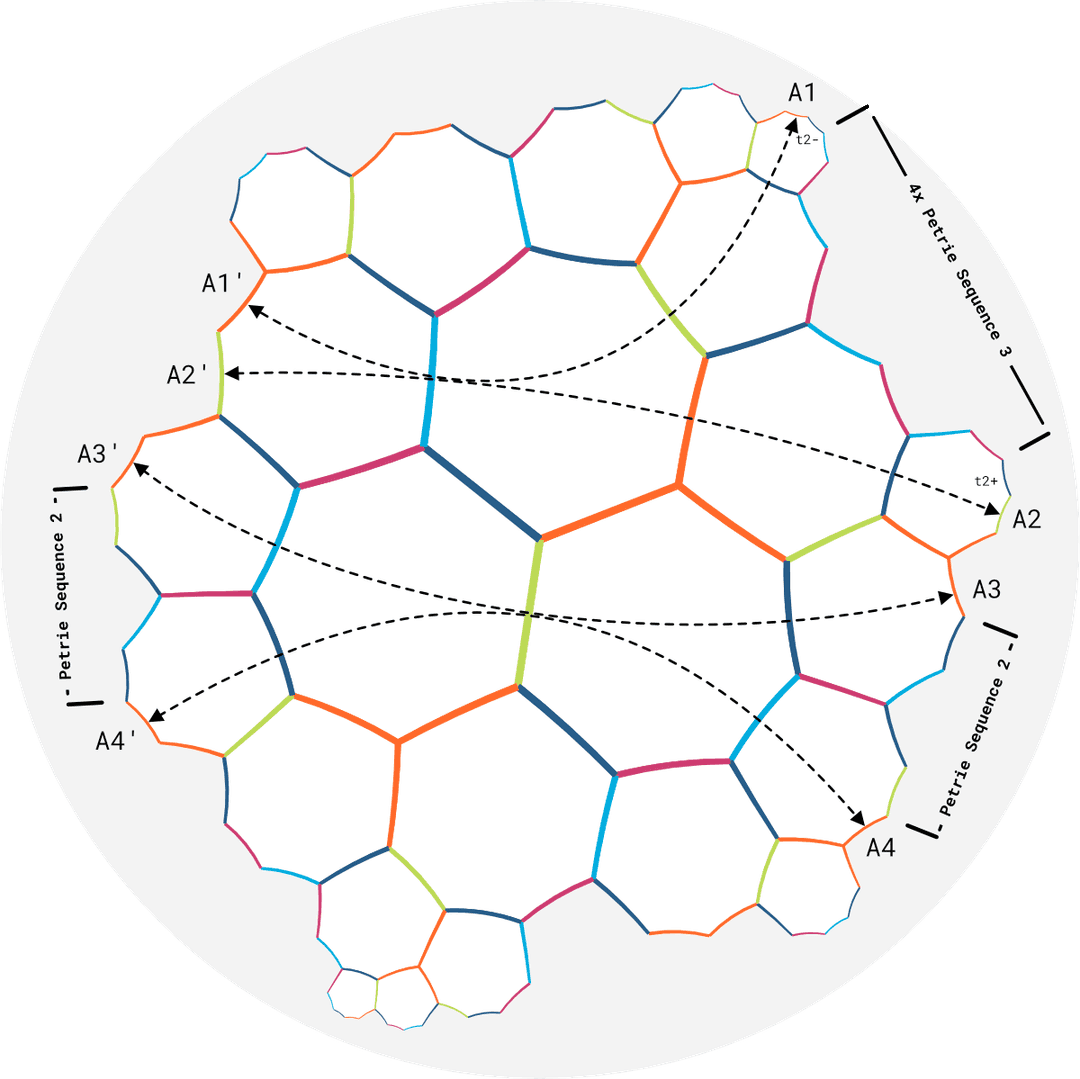 Petrie Paths Along Tilegraph Edges